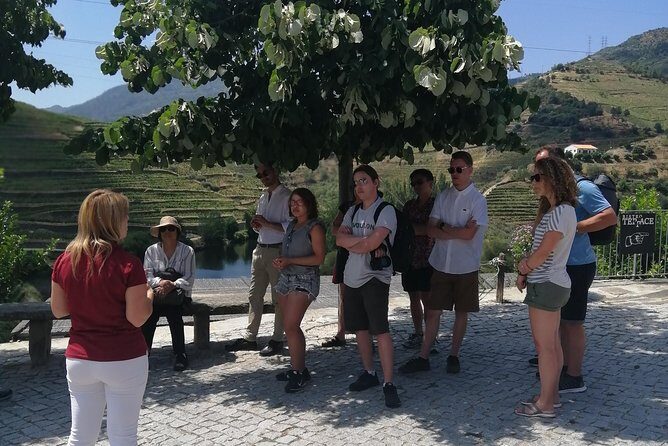 DOURO VALLEY: Lunch in a winery, tastings & 1-h private boat tour - Who Should Consider This Tour?