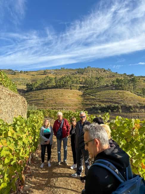 Douro Valley: Olive Oil & Wine Tour with Boat & Lunch - Key Points