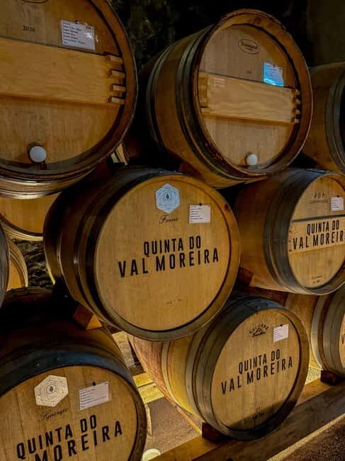 Douro Valley: Olive Oil & Wine Tour with Boat & Lunch - A Deep Dive into the Douro Valley: What to Expect