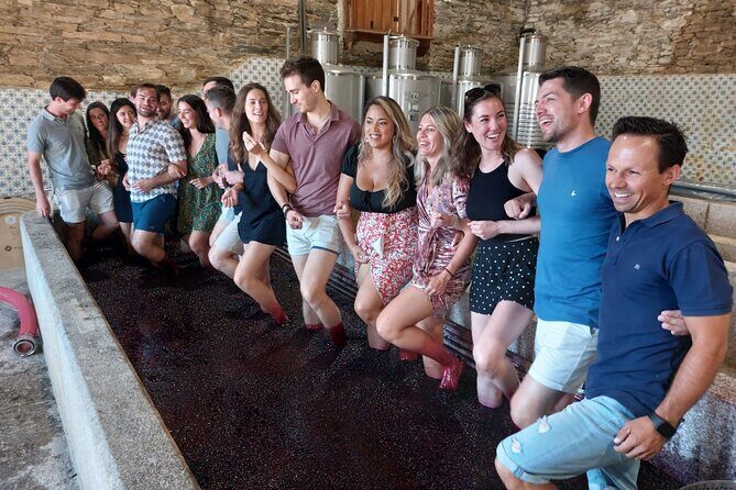 Douro Valley Pinhao Quinta da Foz Tour and Tasting 5 Wines - Walking Through the Old Vines