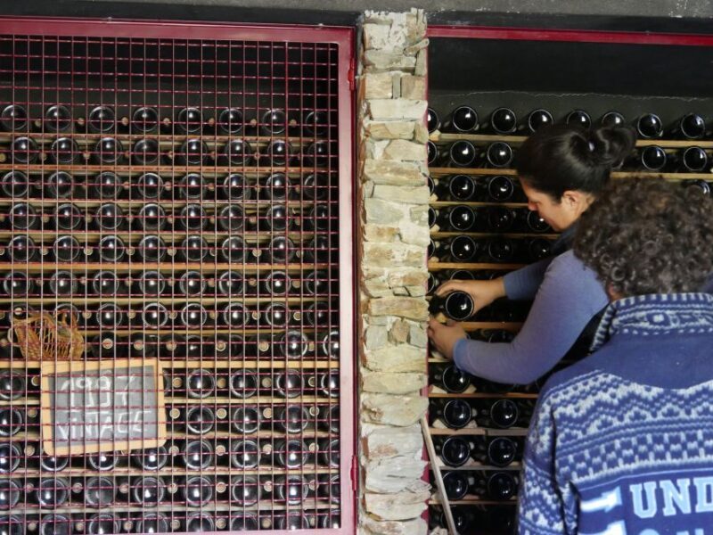 Douro Valley: Premium Port Tasting Winery Tour & River Views - Key Points