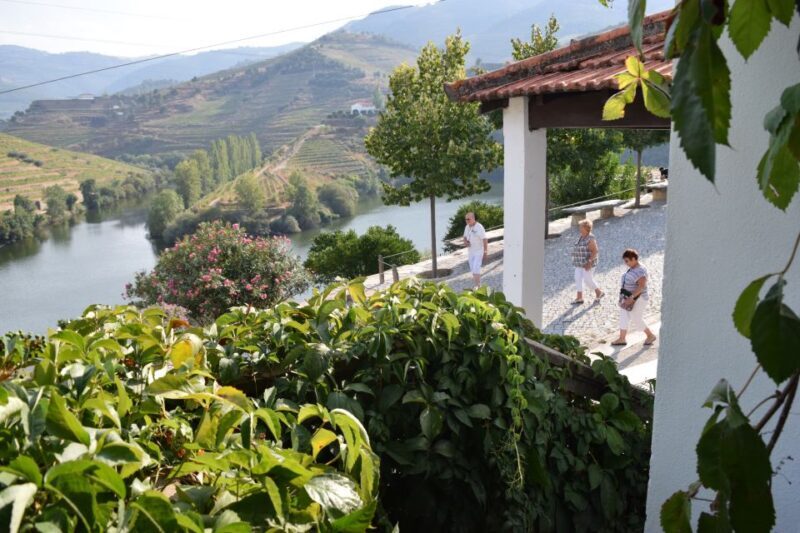 Douro Valley: Premium Port Tasting Winery Tour & River Views - The Tour Experience: What to Expect