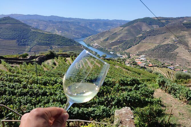Douro Valley Premium Tours - Private Driver & Guide - Who Will Love This Tour?