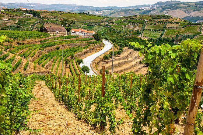 Douro Valley Private Day Trip including Boat Ride & Wine Tasting - FAQ