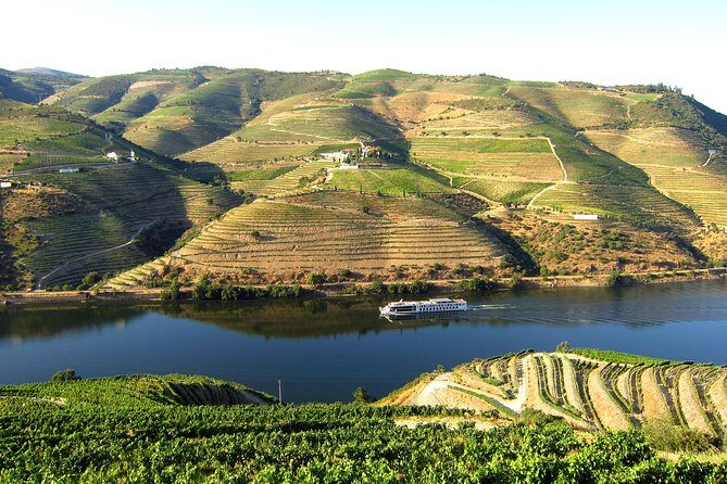 Douro Valley Private Full-Day Tour from Porto - Why This Tour Offers Value