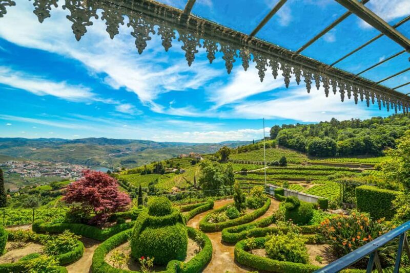 Douro Valley: Private Lunch with Wine & Olive Oil Tasting - The Setting: A Heritage Estate with Stunning Views