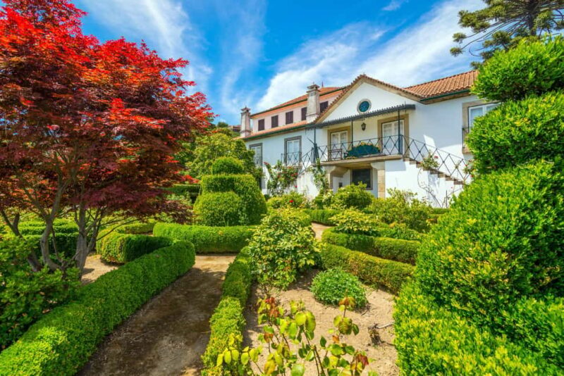 Douro Valley: Private Lunch with Wine & Olive Oil Tasting - A Personal Tour: Heritage, Gardens, and Vineyards