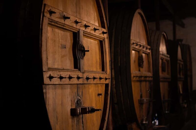Douro Valley: Private Lunch with Wine & Olive Oil Tasting - Unhurried Enjoyment and Flexibility