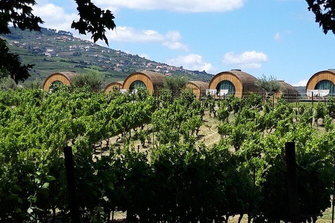 Douro Valley Private Premium Tour with Wine Tasting (1 to 4 people) - Who Will Love This Tour?