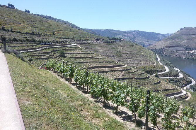 Douro Valley Private Premium Tour with Wine Tasting (1 to 4 people) - FAQ