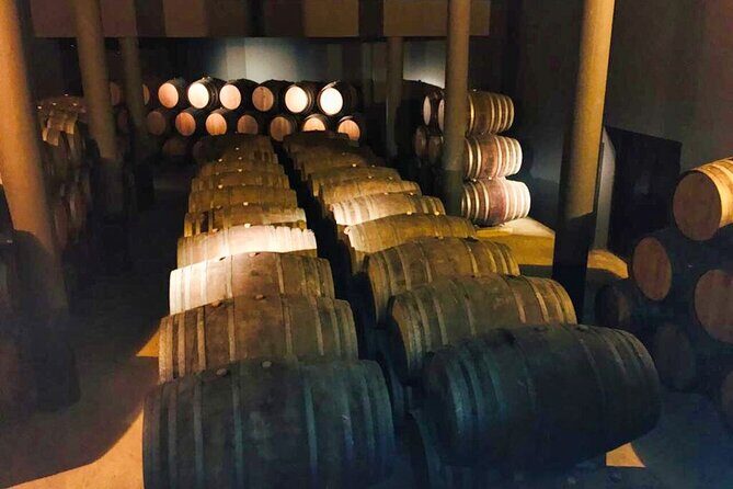 Douro Valley Private Tour: 2 Farms, Lunch & Boat Trip - The Heart of the Tour: Visiting Two Vineyards and Farms