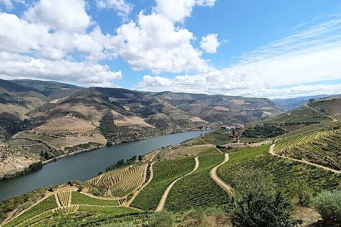 Douro Valley Private Tour - Who Will Love This Tour?