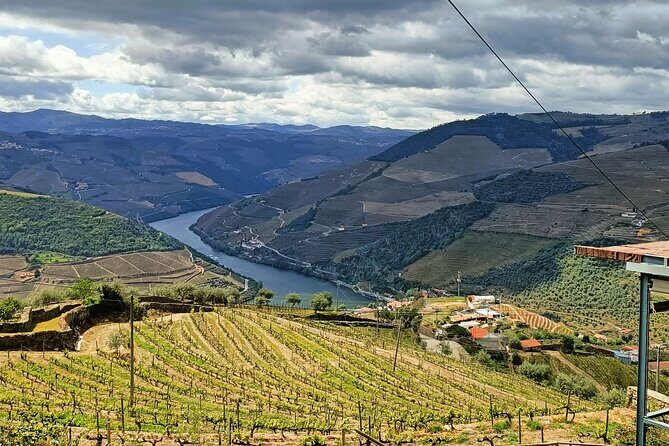 Douro Valley Private Tour - The Sum Up
