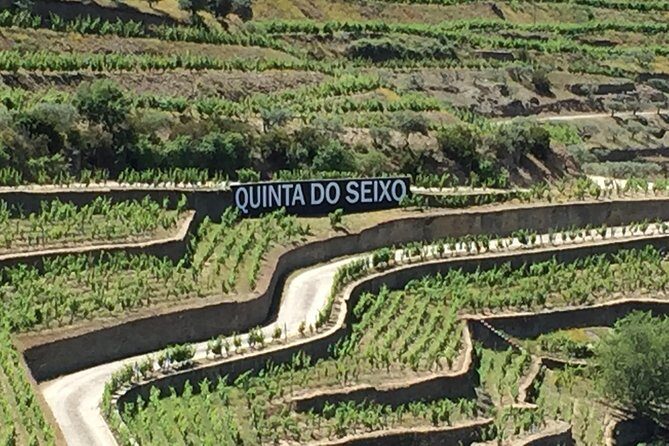 Douro Valley Private Tour from Oporto - Practical Aspects of the Tour