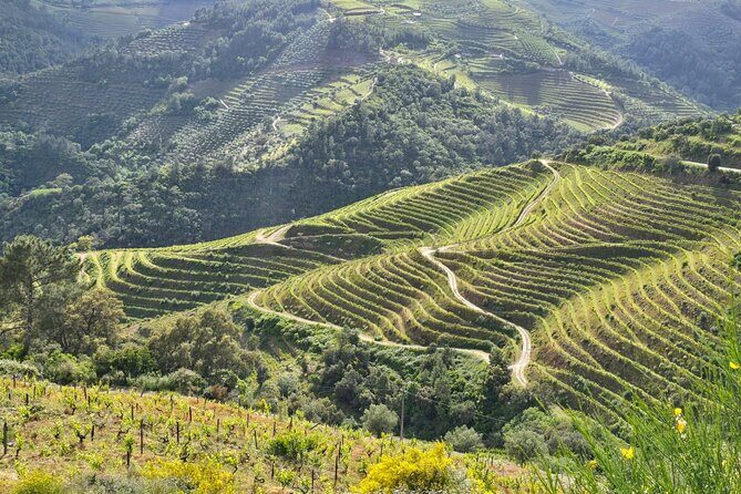 Douro Valley private tour full day - Practical Tips for Your Douro Valley Day Trip