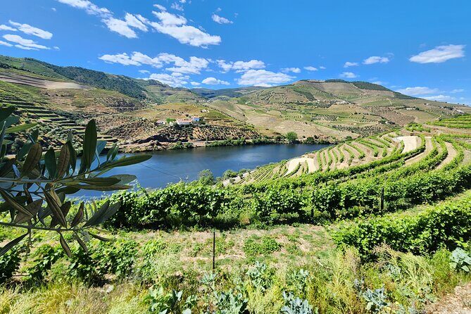 Douro Valley Private Tour (winery + boat + viewpoint) - Why This Tour Works