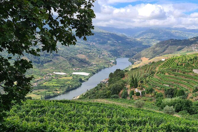 Douro Valley Private Tour (winery + boat + viewpoint) - Frequently Asked Questions