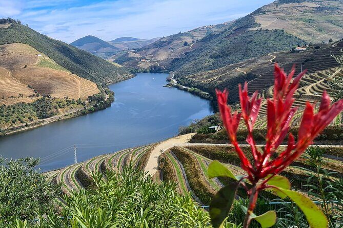 Douro Valley Private Tour (winery + boat + viewpoint) - Final Thoughts