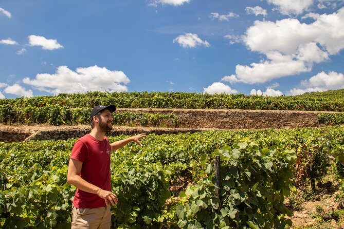 Douro Valley: private tour with lunch and wine estate all inclusive - Key Points