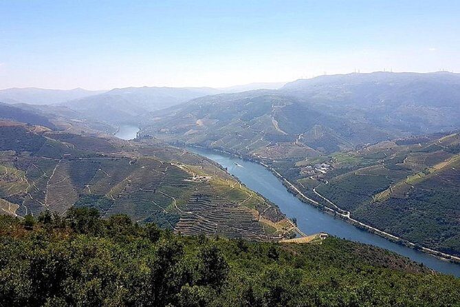 Douro Valley: private tour with lunch and wine estate all inclusive - Who Is This Tour Best For?