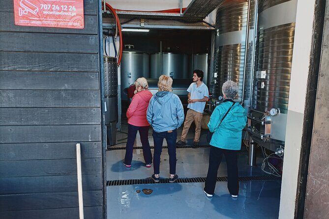 Douro Valley Private Tour with Sommelier - Exploring the Douro Valley with a Private Guide