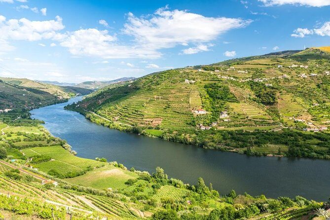 Douro Valley private tour with wine tasting and boat tour - The Itinerary: What to Expect