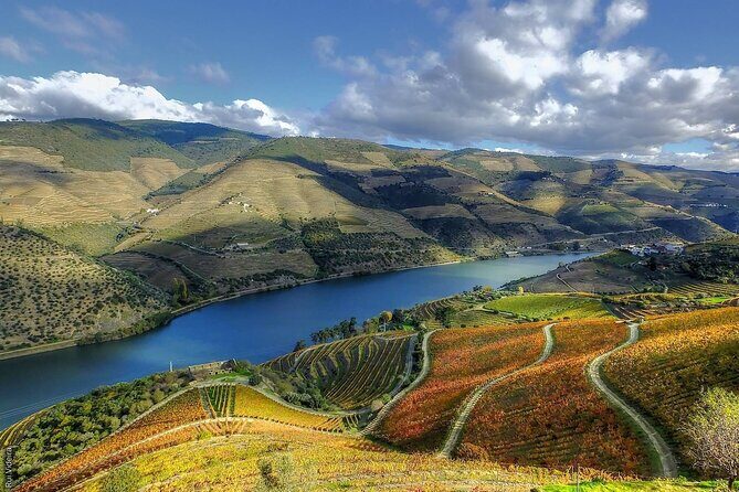 Douro Valley  Private UNESCO Wine & Cultural Experience - Who Should Consider This Tour?