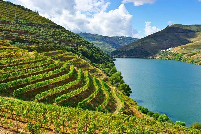 Douro Valley Private Wine and Food Tour From Porto - Key Points