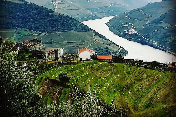 Douro Valley Private Wine and Food Tour From Porto - An In-Depth Look at the Douro Valley Private Tour