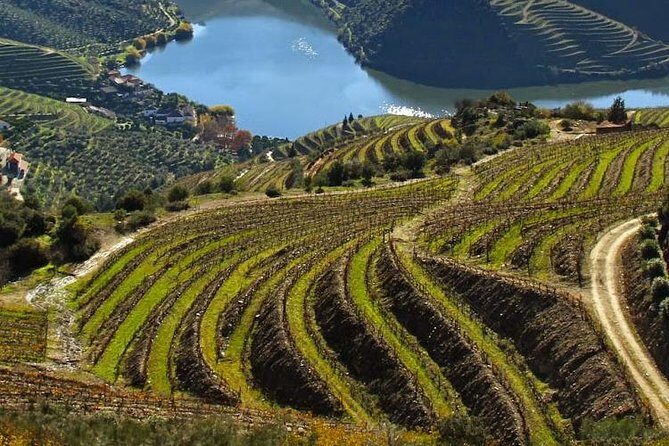 Douro Valley Private Wine Tour From Lisbon - Key Points