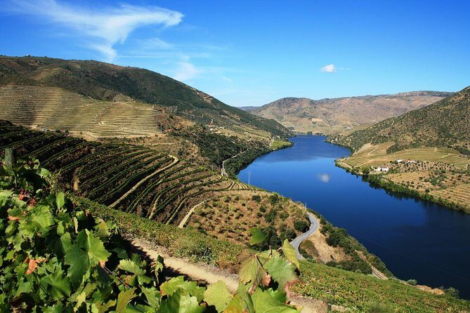 Douro Valley Private Wine Tour From Lisbon - The Comfort of Private Transportation and Pickup