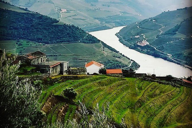 Douro Valley Private Wine Tour From Lisbon - The Charm of the Small-Town Stops and Cultural Touches