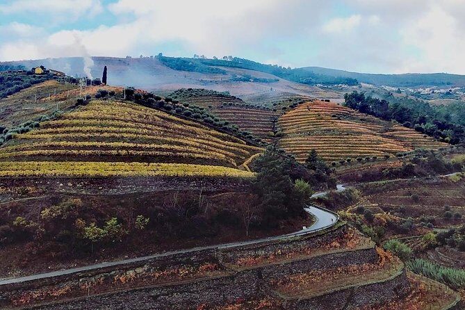 Douro Valley Private Wine Tour From Lisbon - The Overall Value: Is It Worth It?