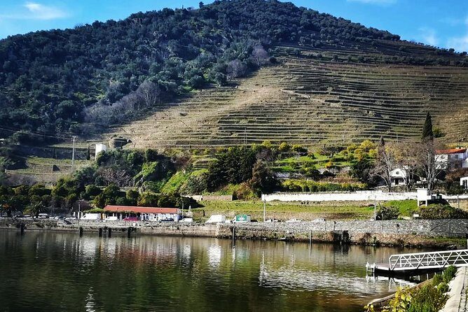 Douro Valley Private Wine Tour From Lisbon - Final Thoughts