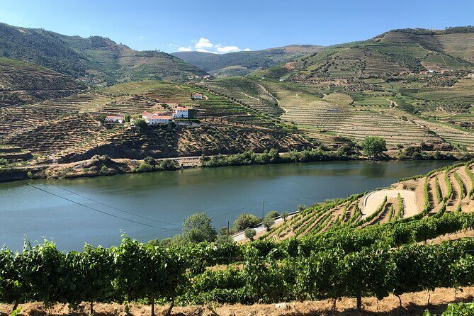 Douro Valley private wine tour | tastings and lunch included - The detailed breakdown of what to expect
