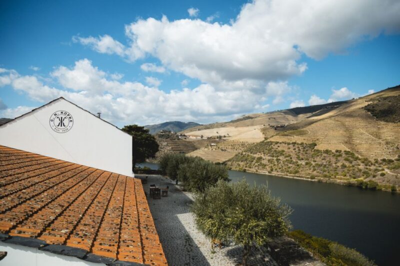 Douro Valley: Quinta de S. Luiz Winery Tour and Tasting - The Sum Up