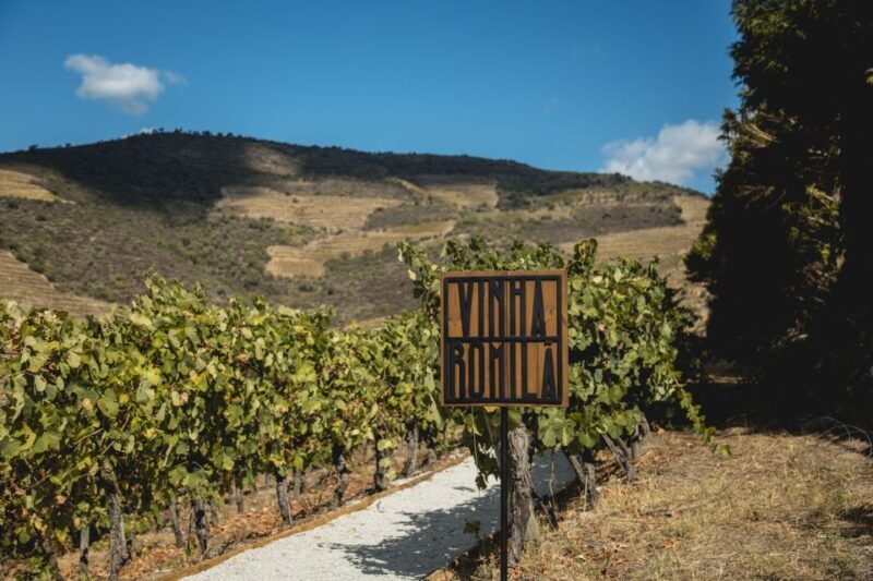 Douro Valley: Quinta de S. Luiz Winery Tour and Tasting - FAQ