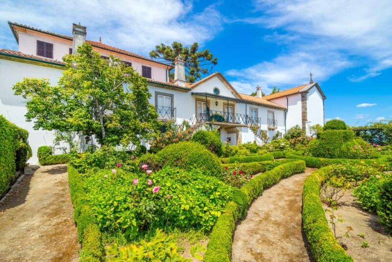 Douro Valley: Quinta Santa Júlia Tour, Wine Tasting & Lunch - Final Thoughts