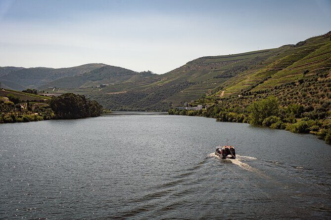 Douro Valley: Rabelo Boat Tour with Port Wine & Audio Guide - Key Points