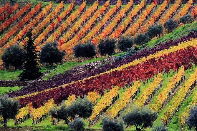 Douro Valley - Relaxed Departure from Porto - FAQ