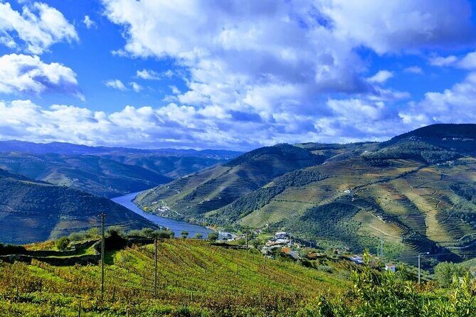 Douro Valley Small-Group Tour: 2 Wineries, Lunch, Optional Cruise - Practical Tips for Travelers