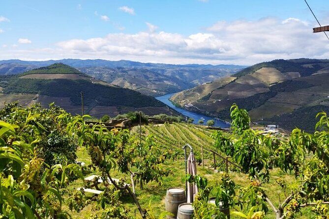 Douro Valley Small-Group Tour: 2 Wineries, Lunch, Optional Cruise - Who Is This Tour Best For?