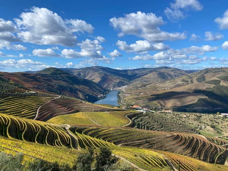 Douro Valley: Small-Group Tour, Winery's Lunch, Private Boat - Final Thoughts