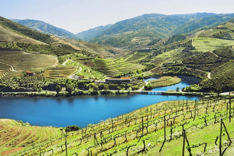Douro Valley Tour: Visit 2 Wineries, Lunch & River Cruise - Practical Tips for Booking & Enjoying