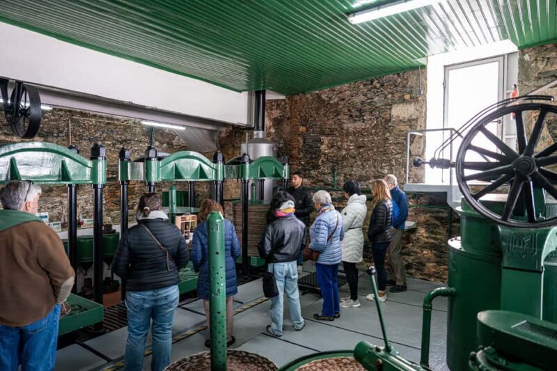 Douro Valley Tour: Visit 2 Wineries, Lunch & River Cruise - Who Is This Tour Best For?