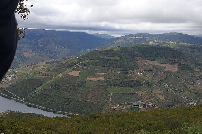 Douro Valley Tour Wine and breathtaking views - Scenic Drive Along the Douro River