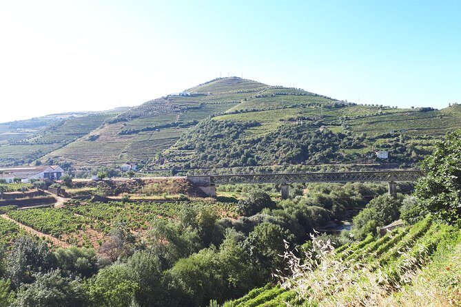 Douro Valley Tour (wine & Food) - Who Will Love This Tour?