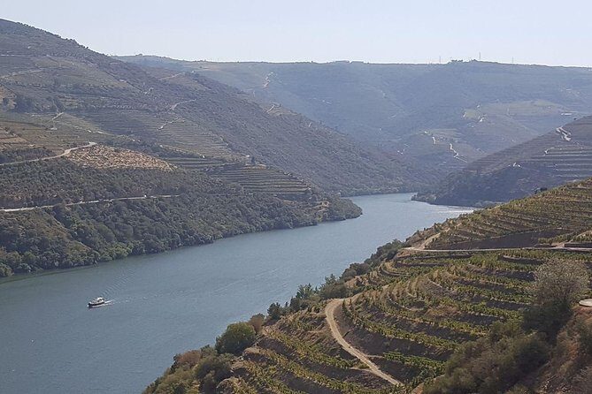 Douro Valley Tour: Wine Tasting River Cruise and Lunch from Porto - An Introduction to the Douro Valley Tour