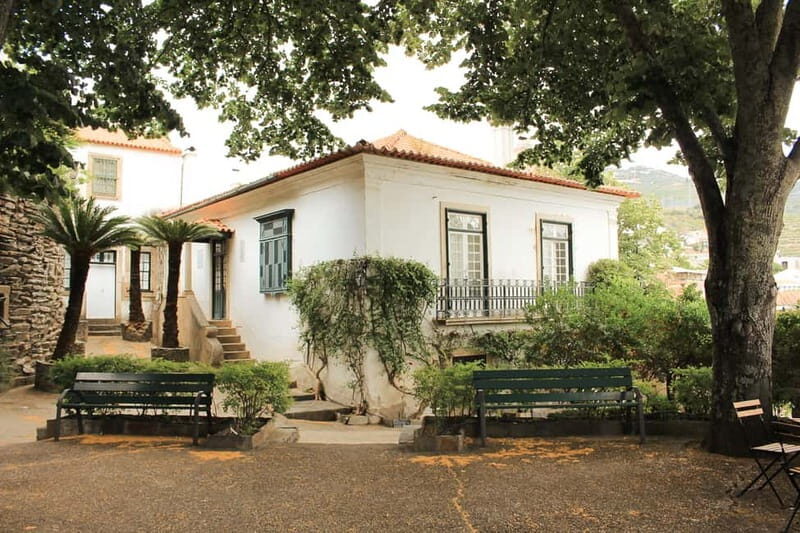 Douro Valley: Tour with Wine Tastings, Lunch, and Boat Ride - Who Will Love This Tour?