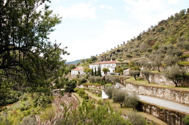 Douro Valley: Tour with Wine Tastings, Lunch, and Boat Ride - Final Thoughts